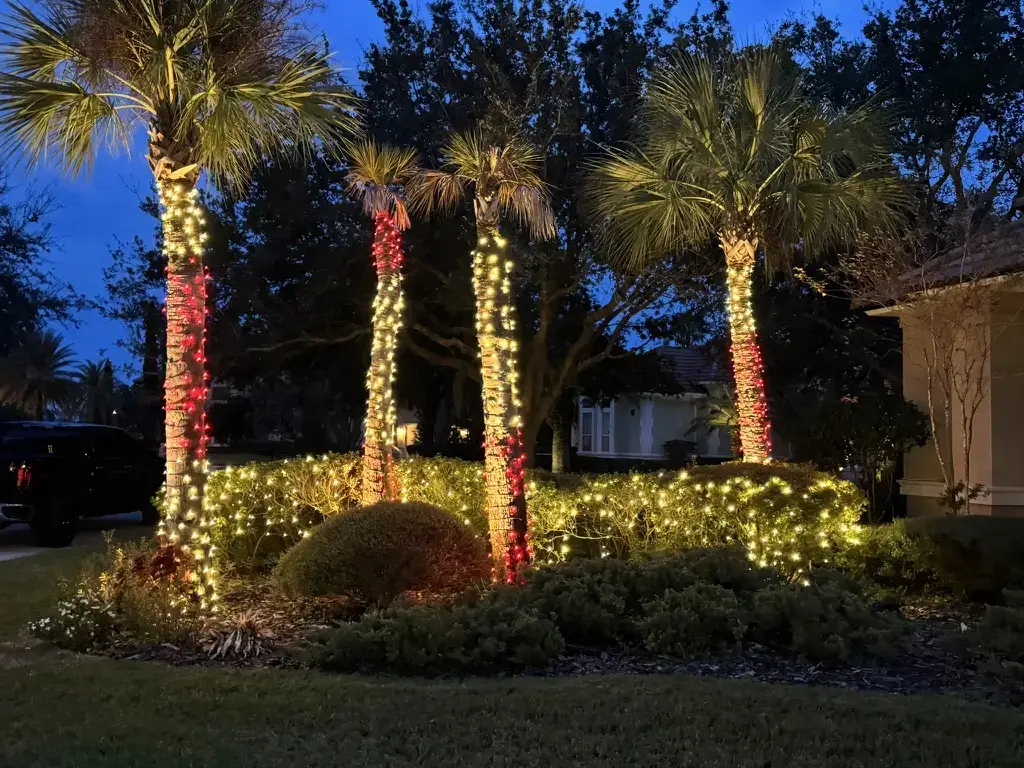 15 Stunning Design Ideas for Permanent Christmas Lights in Your ...
